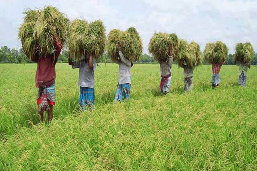 Contact Us – NOORJAHAN AGRO